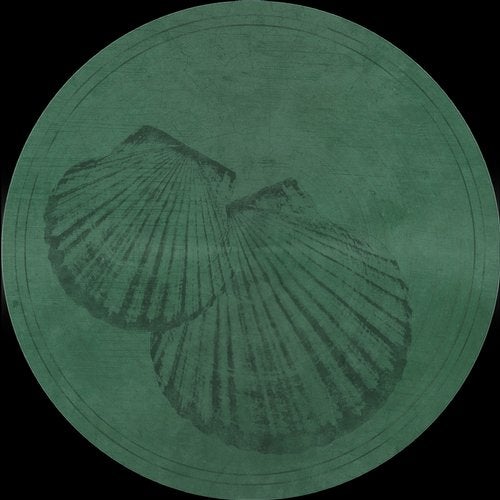 Pecten Gibbus from Fossil Archive on Beatport