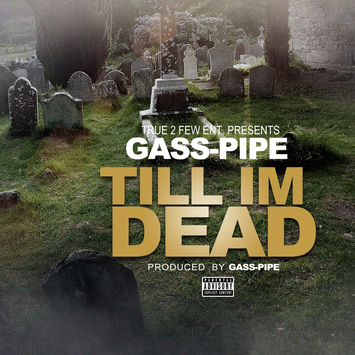 Gass-Pipe - Till Im Dead (Original Mix) [TroublezMusic / T2F Records ...