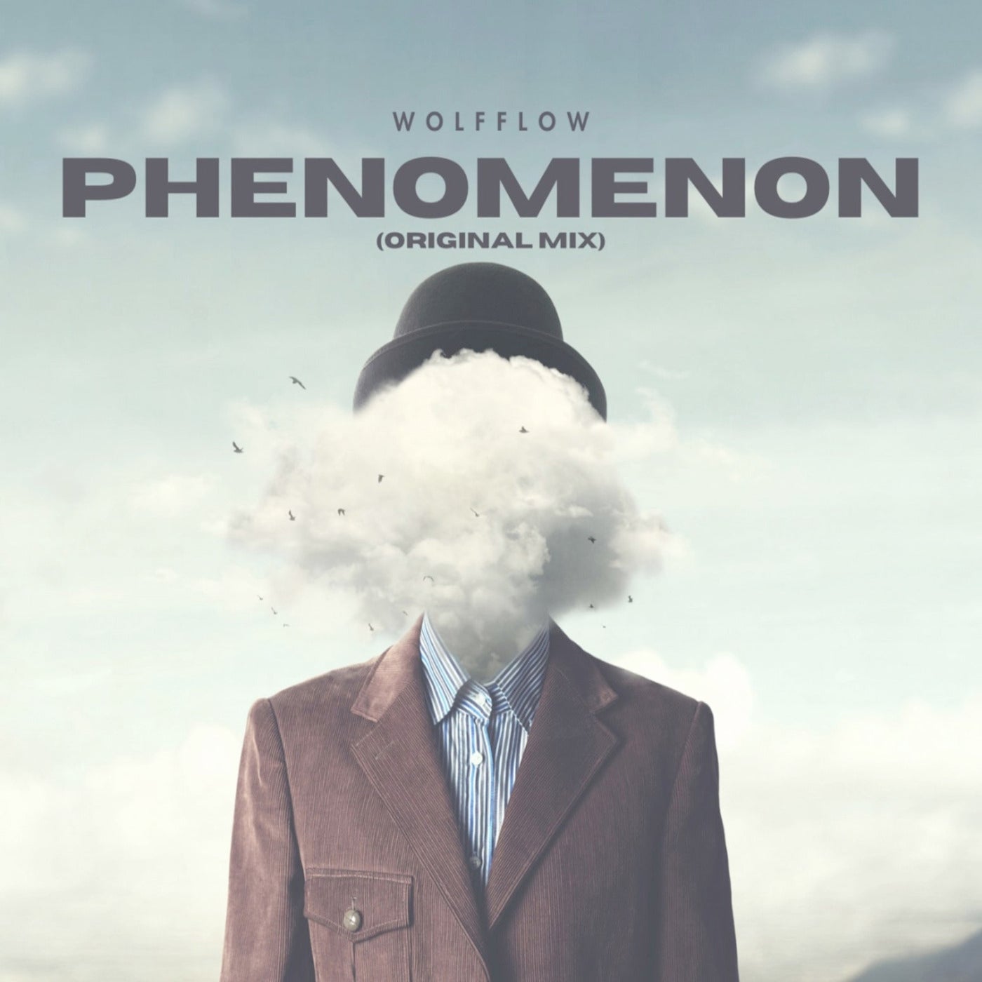 Ali Sayadi - Phenomenon [Sierra Hotel records] | Music & Downloads on ...