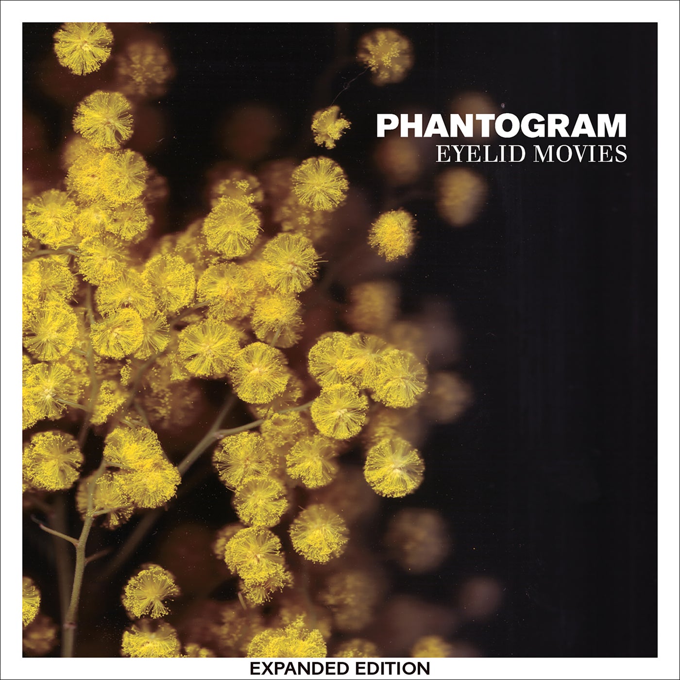 Phantogram - 10,000 Claps (Original Mix) [Barsuk Records] | Music ...