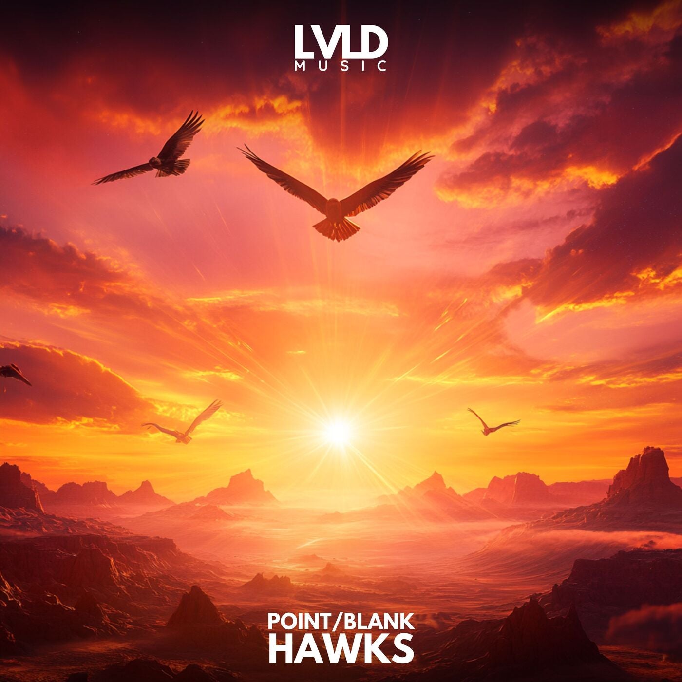 Point/Blank - Hawks [LVLD Music] | Music & Downloads on Beatport