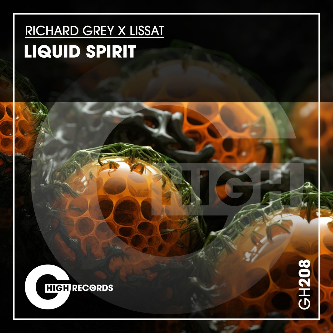 Richard Grey, Lissat - Liquid Spirit (Original Mix) [G*High] | Music ...