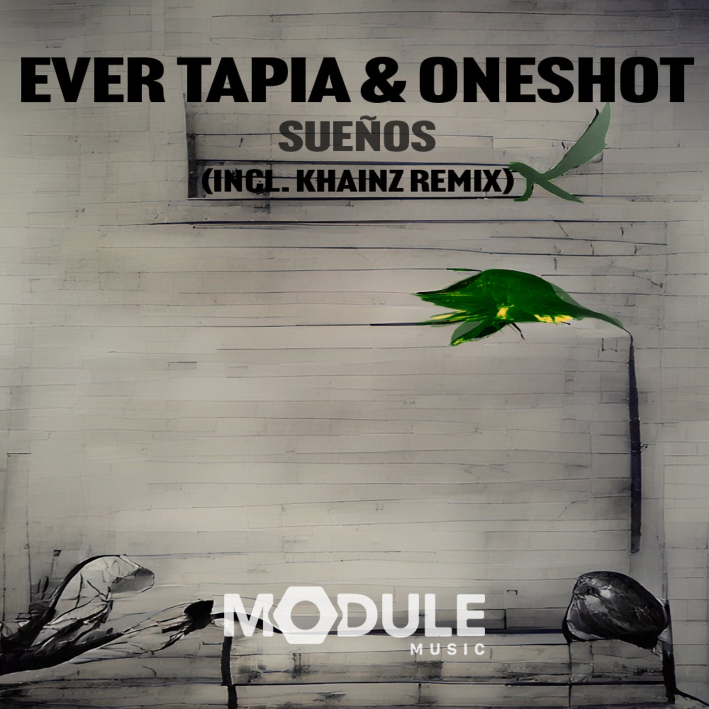 Suenos from Module Music on Beatport
