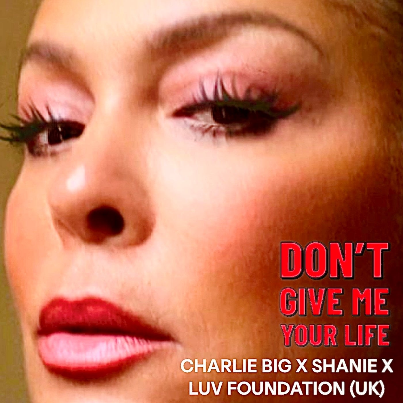 Shanie, Luv Foundation (UK), Charlie Big - Don't Give Me Your Life ...