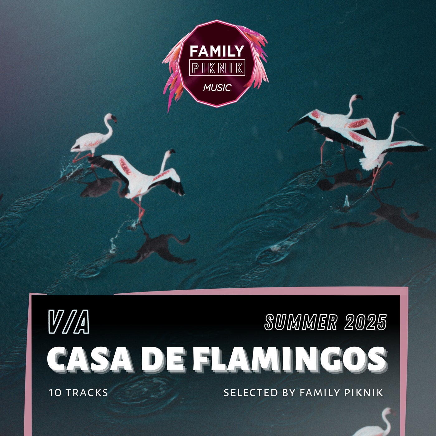 Tom Pooks, Sebass, Acrobat, Anspect, Frankllin, SLP, Max Delta, Lanas ...