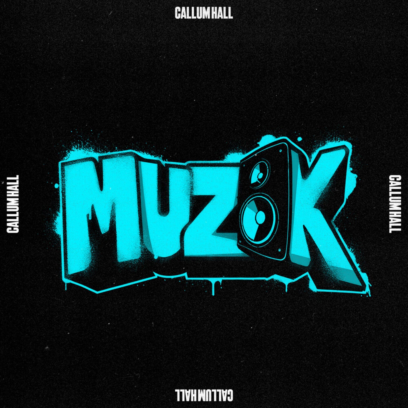 Callum Hall - Muzik (Extended Mix) [3 Beat Music] | Music & Downloads ...