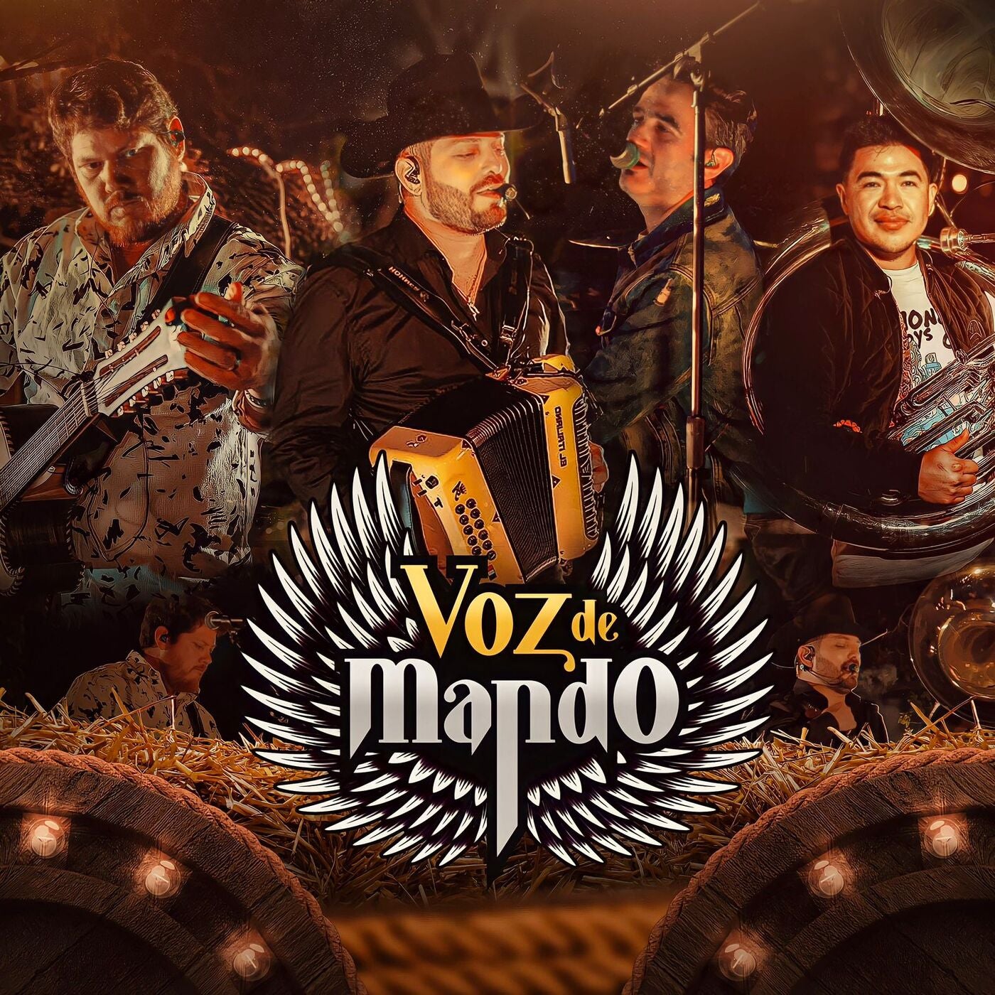 Voz de Mando - Chivo Tatemado (Original Mix) [Afinarte Music] | Music ...
