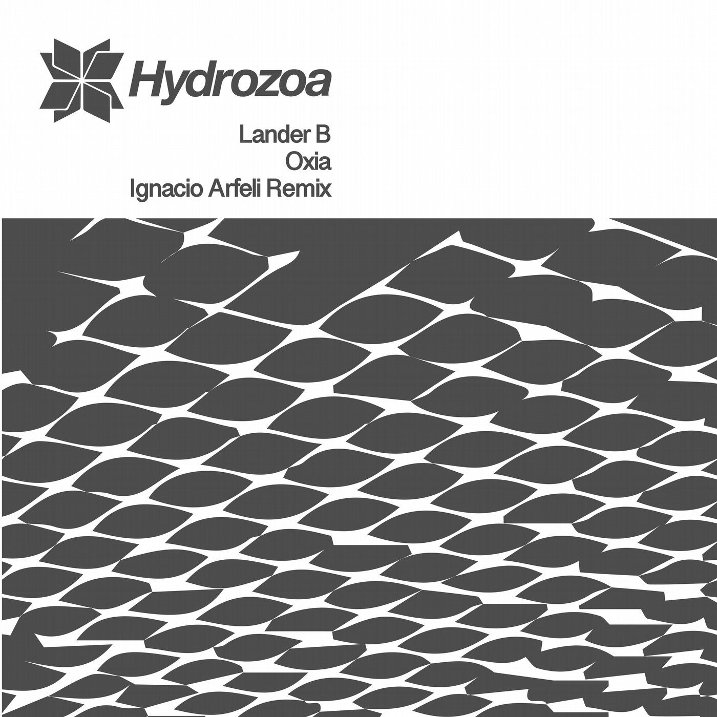 Lander B - Oxia [Hydrozoa] | Music & Downloads on Beatport