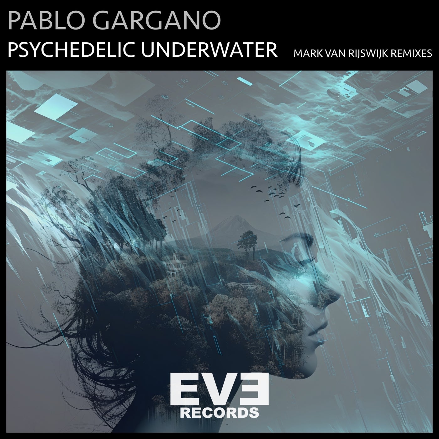 Pablo Gargano - Psychedelic Underwater (Mark van Rijswijk Remixes) [Eve Records] | Music ...