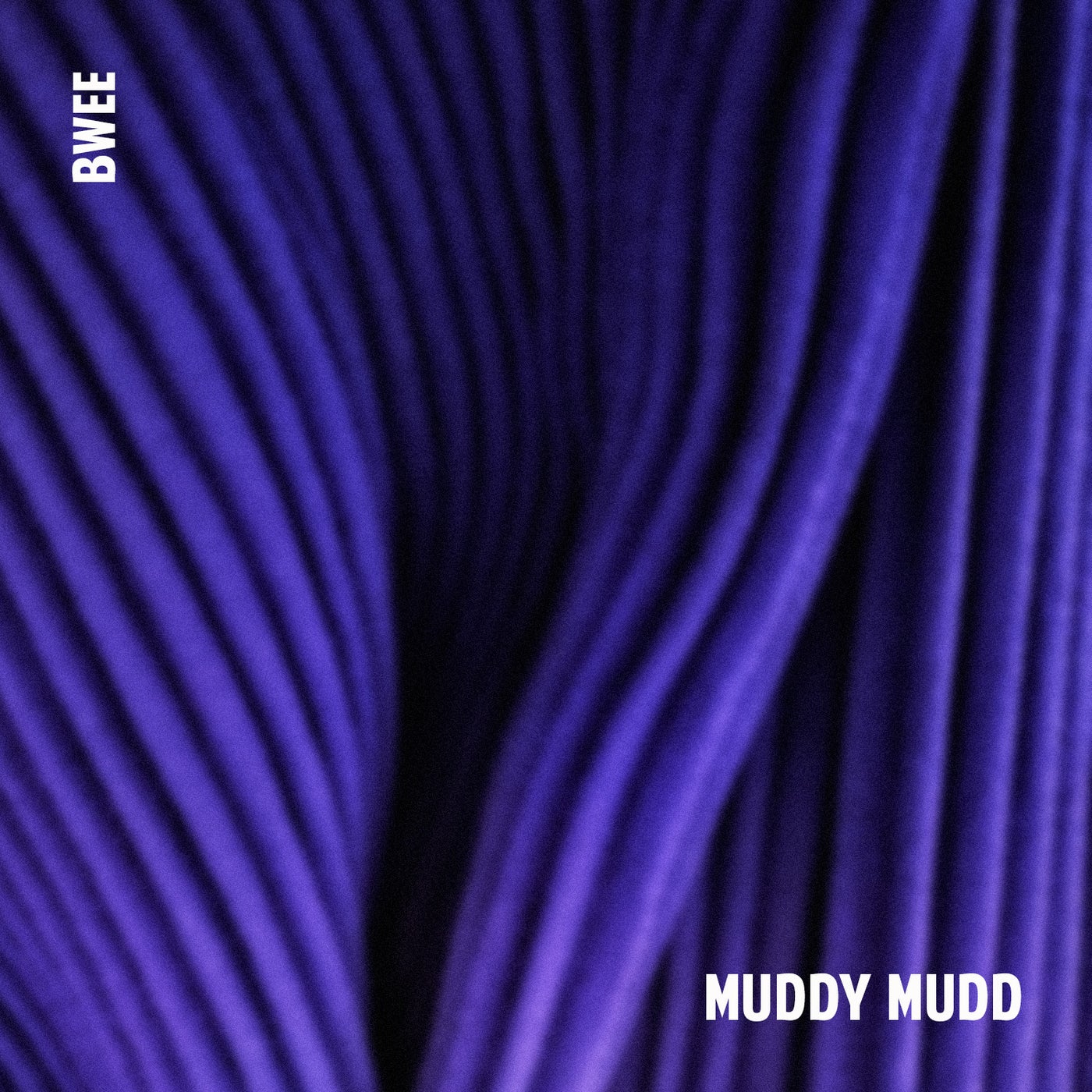 Muddy Mudd - Songs, Events and Music Stats | Viberate.com