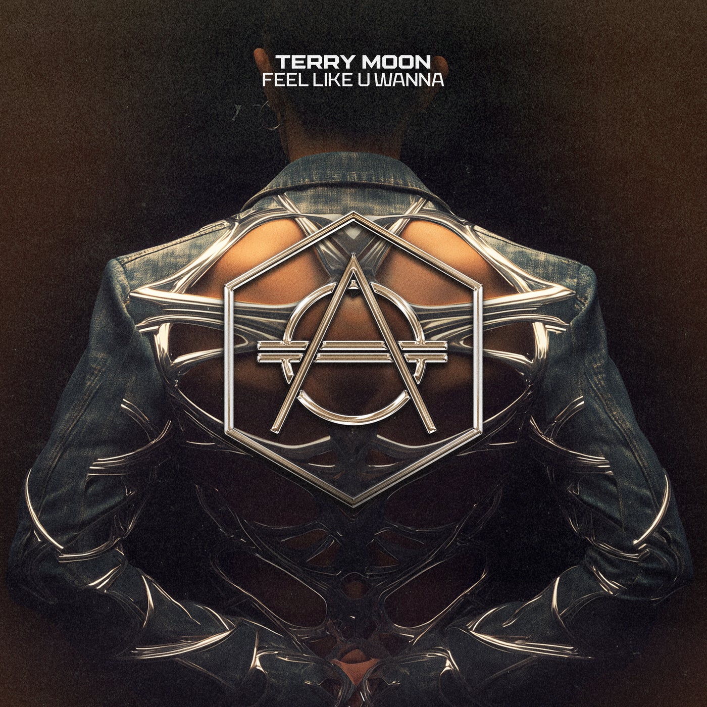 Terry Moon - Feel Like U Wanna - Extended Mix [HEXAGON] | Music ...