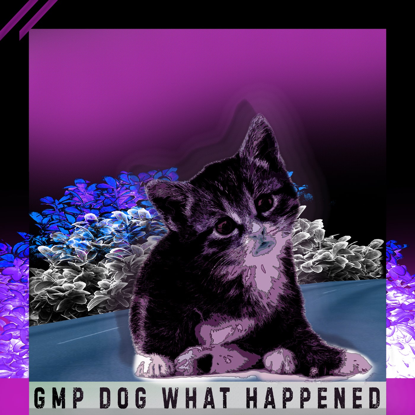 GMP Dog - What Happened [Freshtunes] | Music & Downloads on Beatport