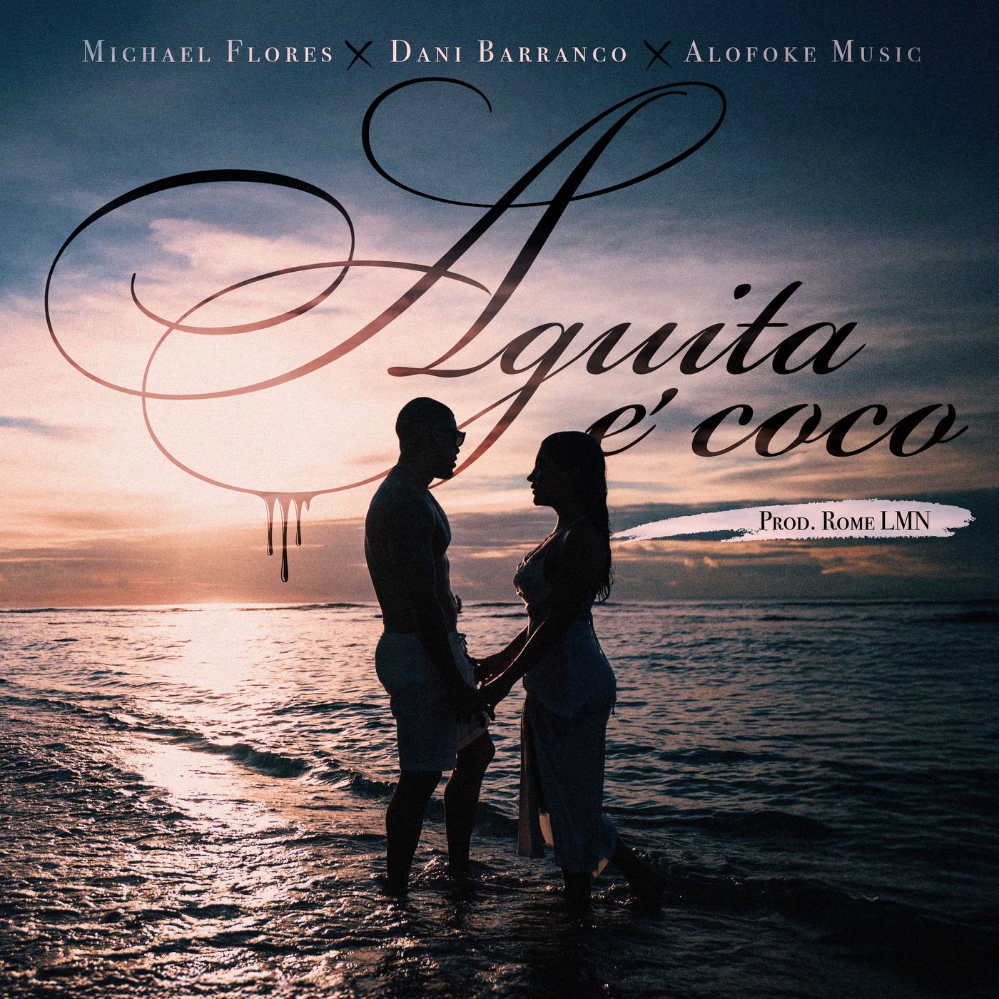 Alofoke Music, Dani Barranco, Michael Flores - Aguita E Coco (Original ...