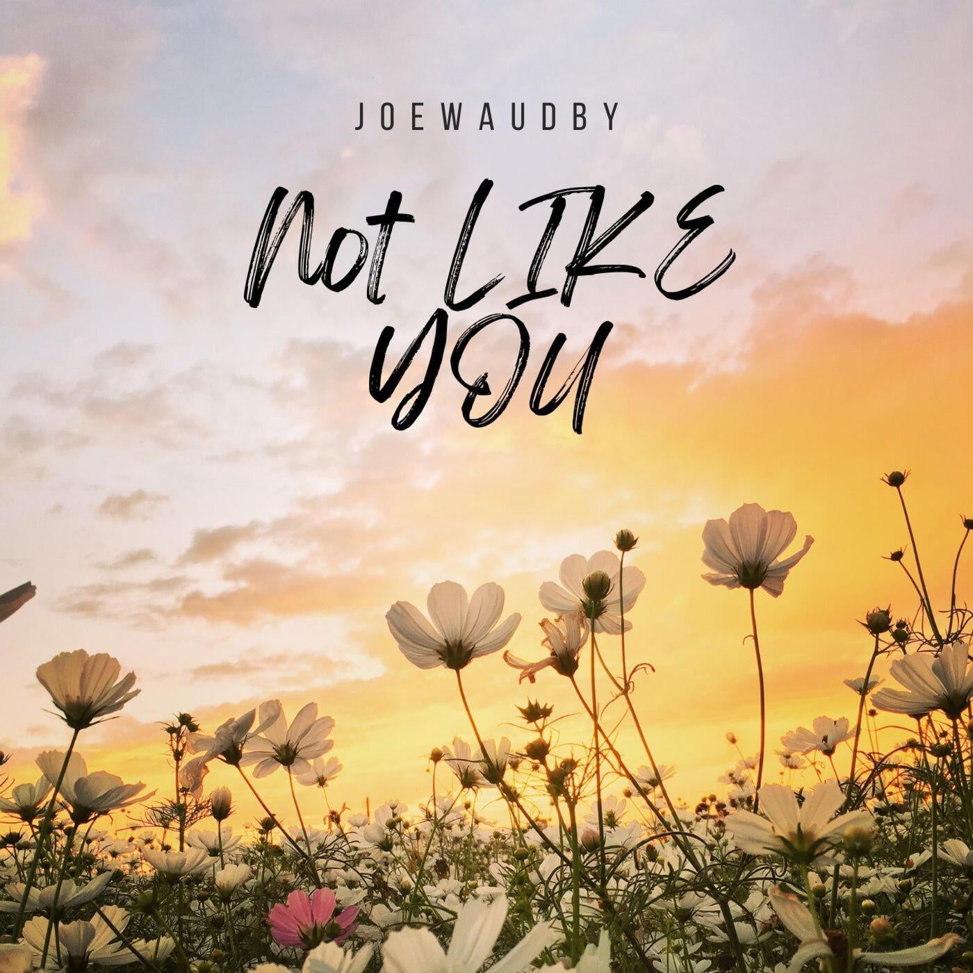Joe Waudby - Not Like You [DistroKid] | Music & Downloads on Beatport