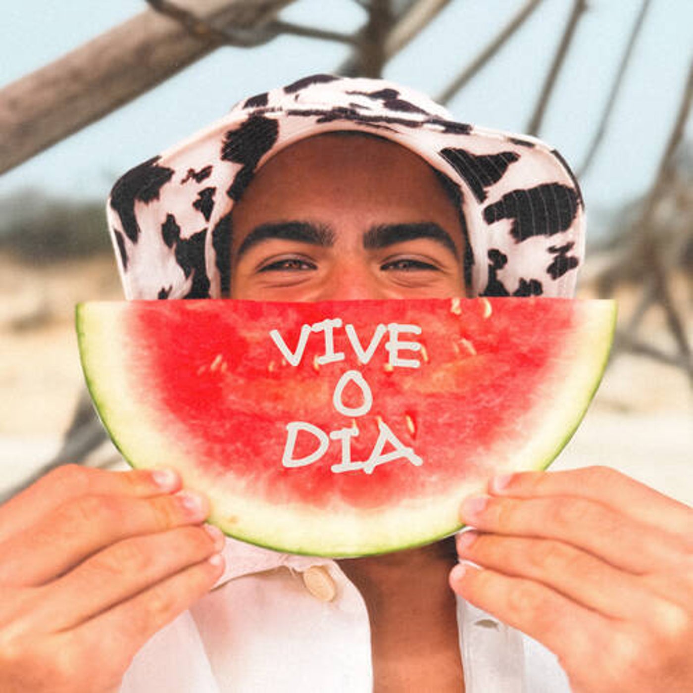 Nininho Vaz Maia - Vive o dia [Nininho Vaz Maia] | Music & Downloads on ...