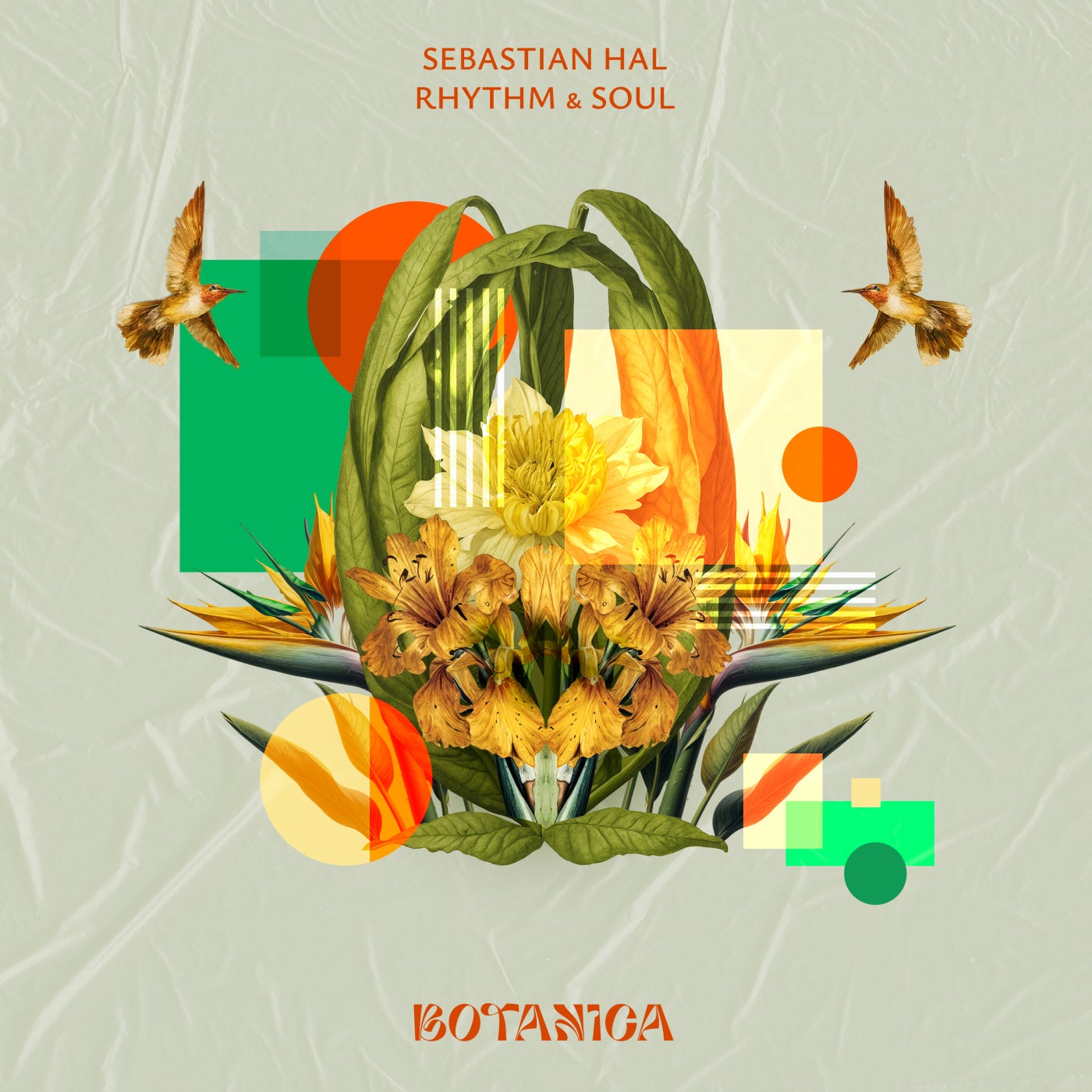 Sebastian Hal - Rhythm and Soul [Botanica] | Music & Downloads on Beatport