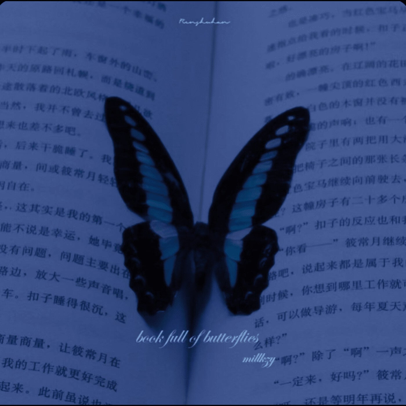 millkzy - book full of butterflies [Broke] | Music & Downloads on Beatport
