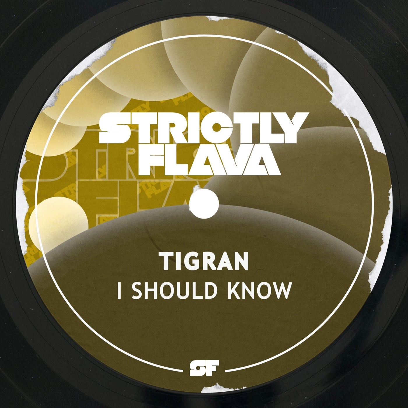 Tigran - Songs, Events and Music Stats | Viberate.com