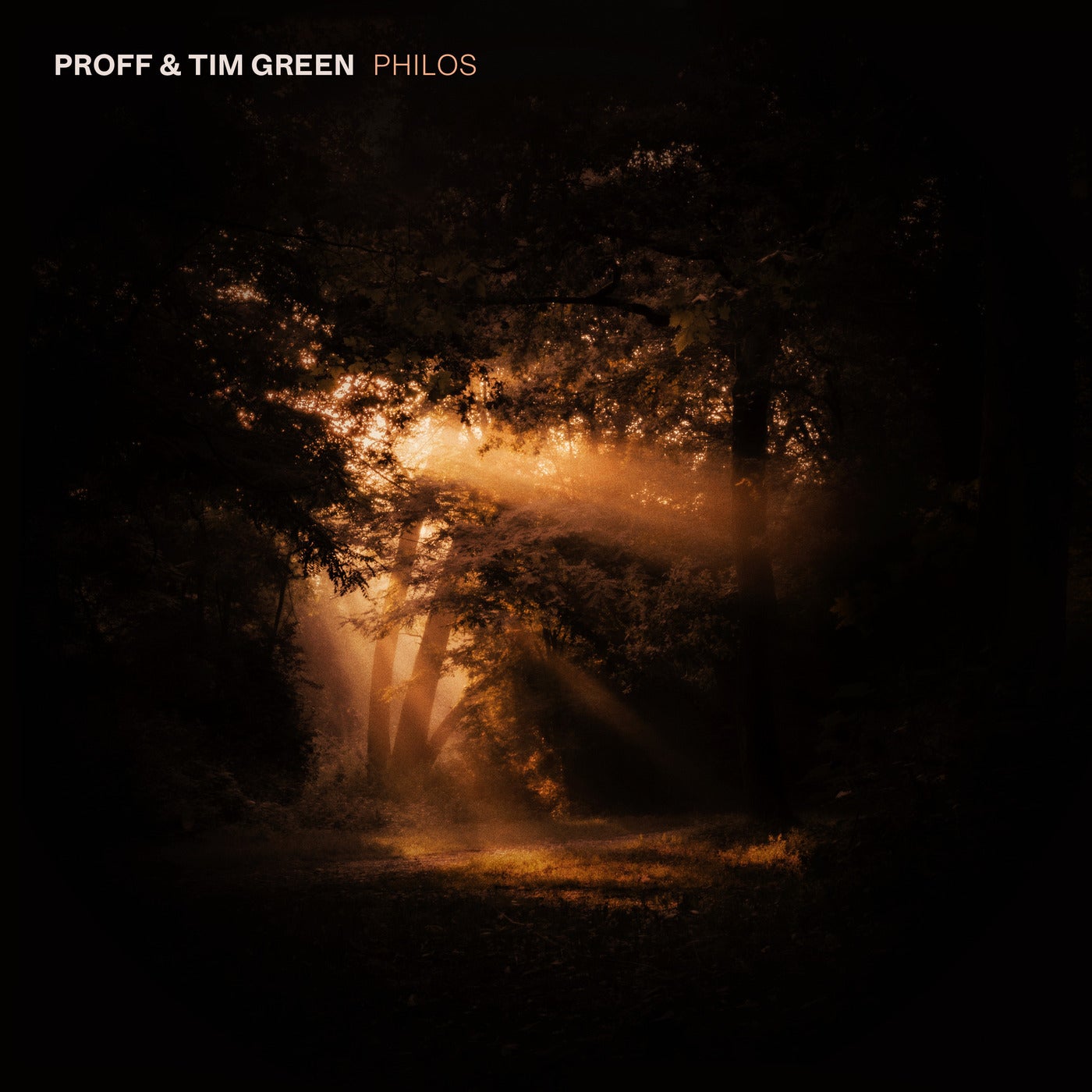Tim Green, PROFF - Philos [Anjunachill] | Music & Downloads on Beatport