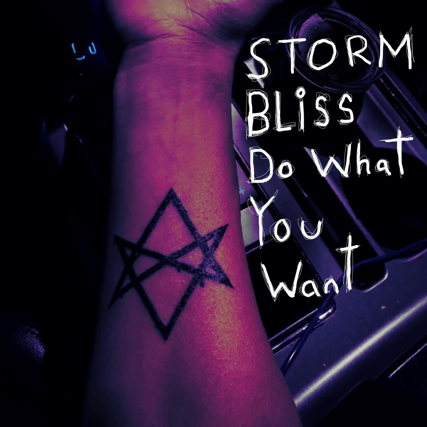 Storm Bliss - Do What You Want [DistroKid] | Music & Downloads on Beatport