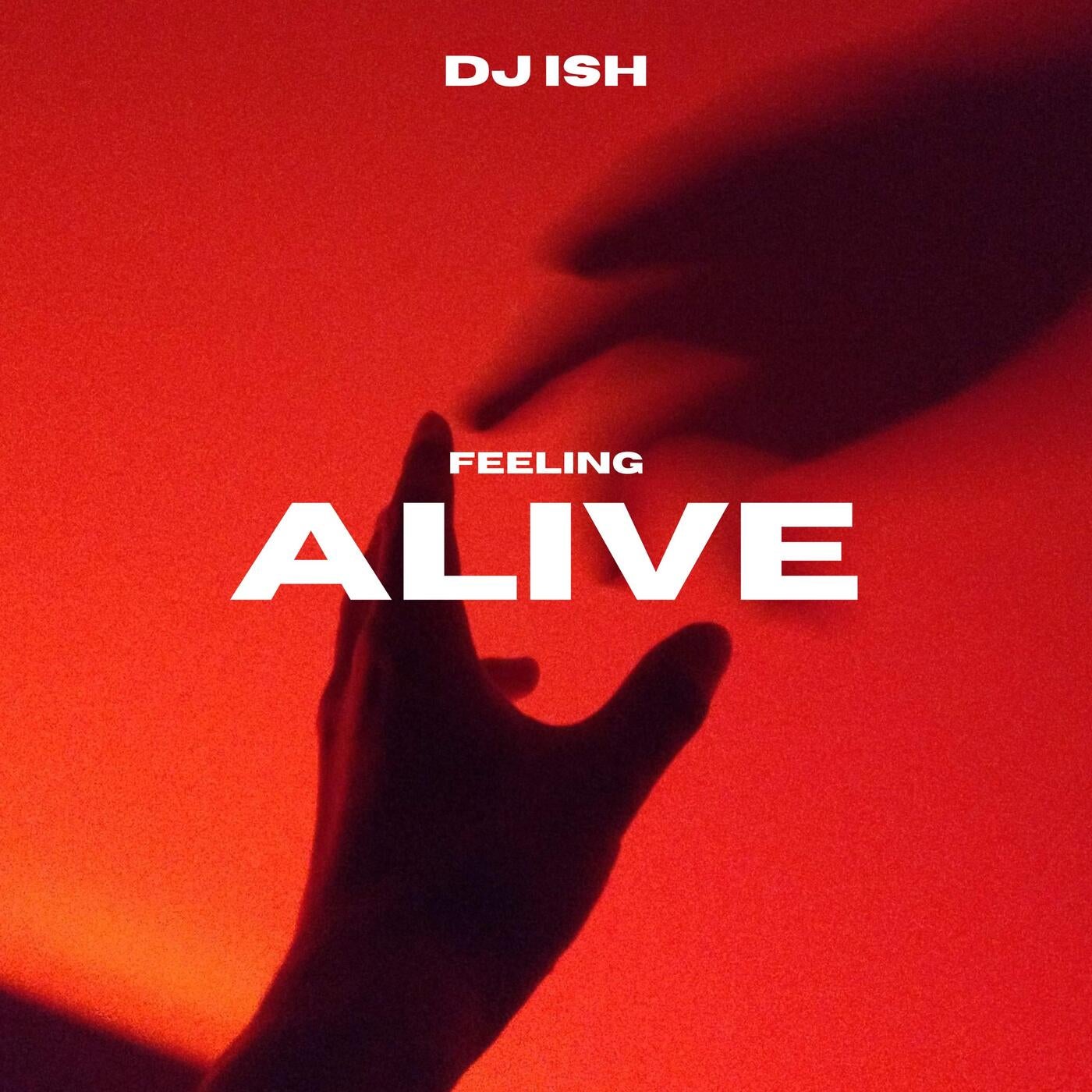 Dj Ish - Feeling Alive [DistroKid] | Music & Downloads on Beatport