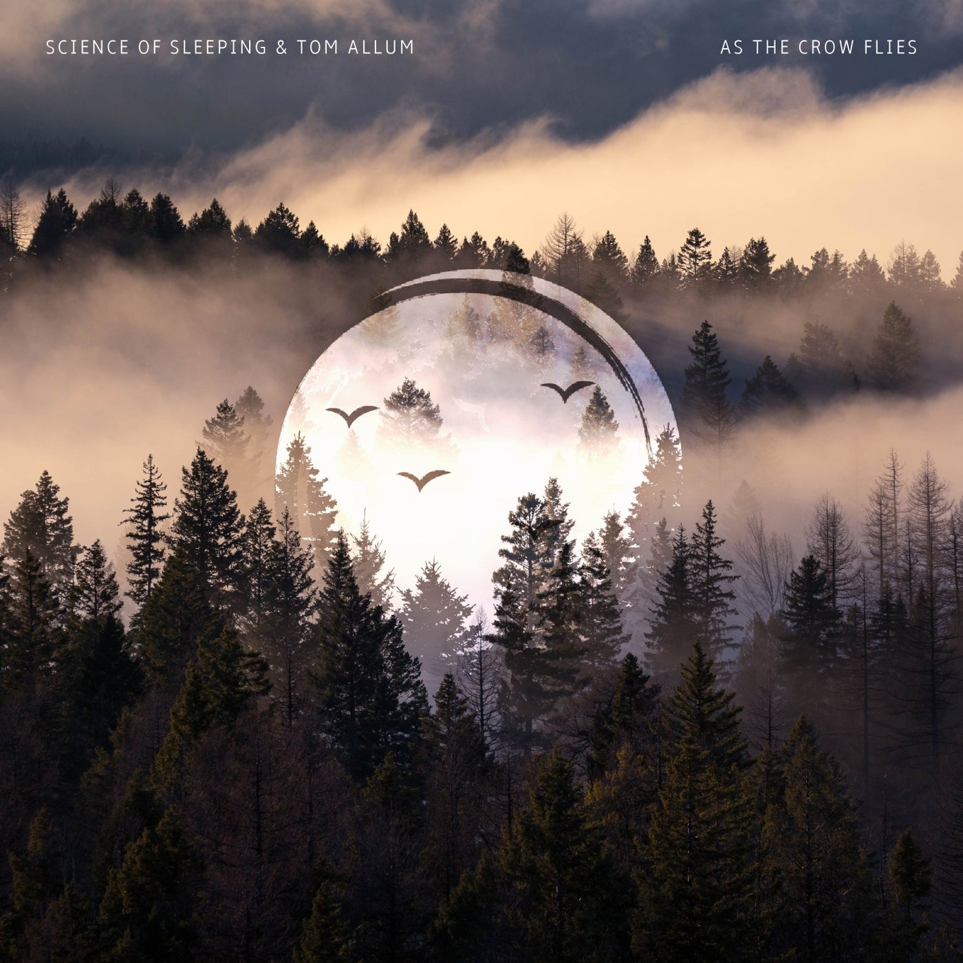 Science Of Sleeping, Tom Allum - As the Crow Flies [Echoes in the ...