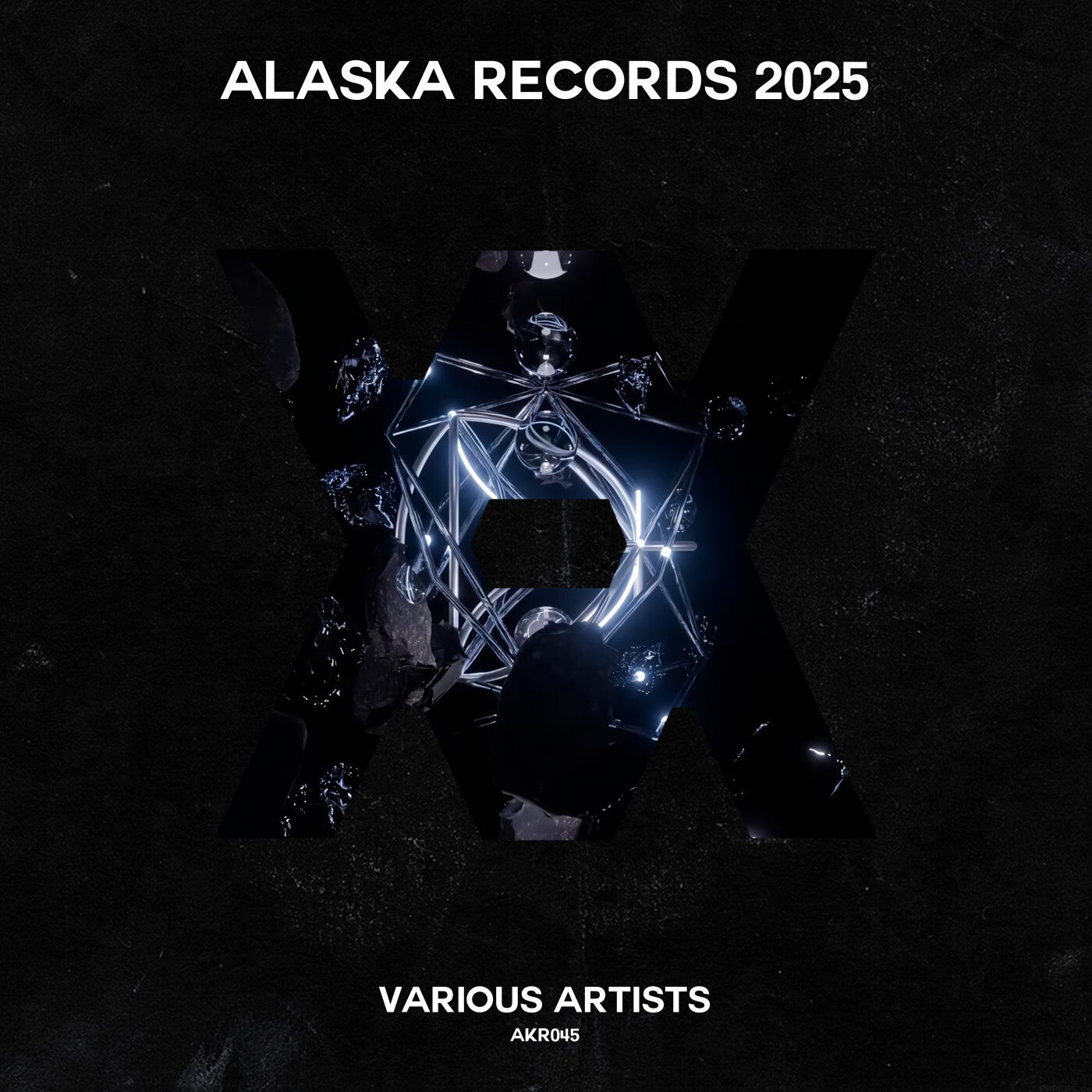 VA - Alaska Records 2025 AKR045 ~ minitech.house