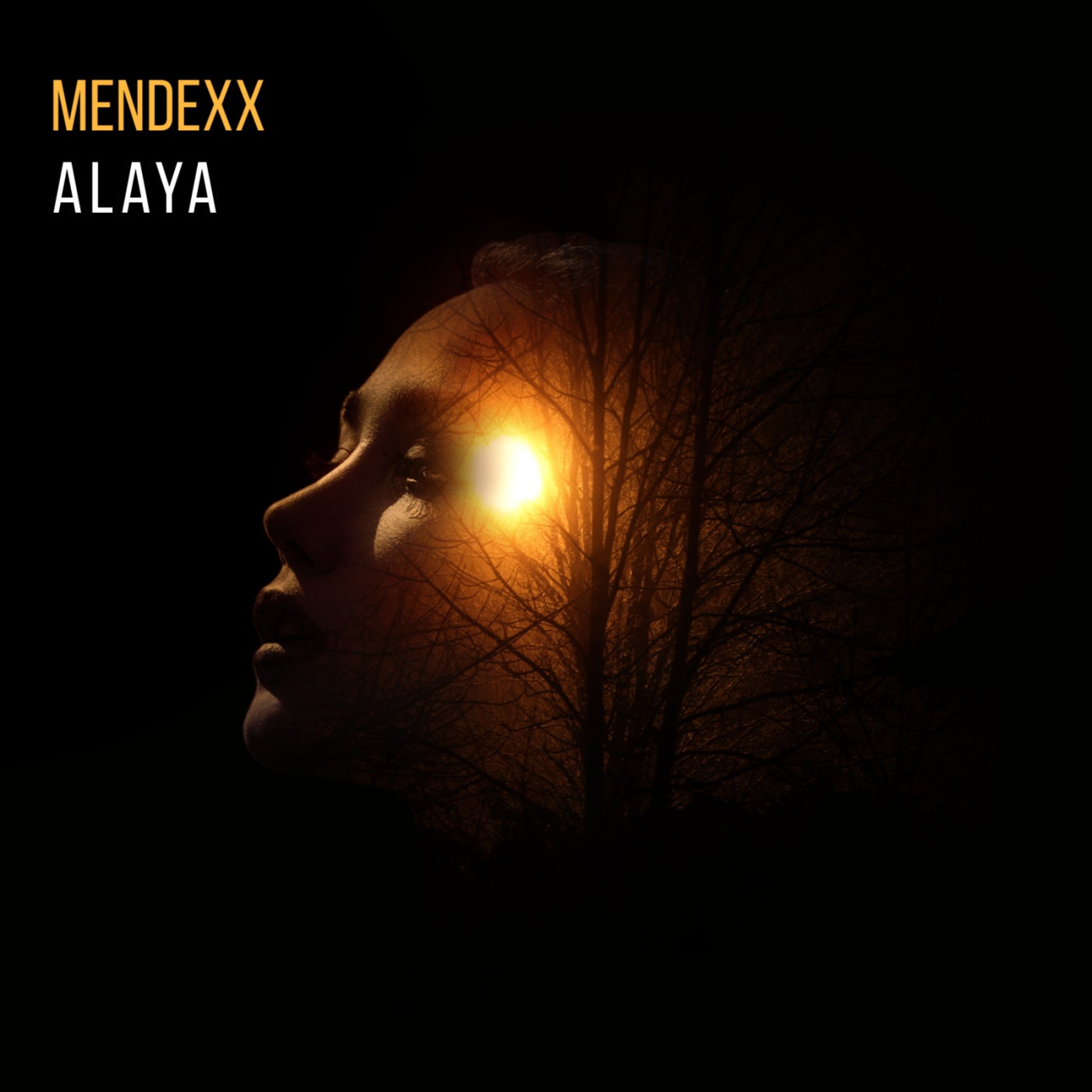Mendexx - Alaya [Ultrachic Music] | Music & Downloads on Beatport