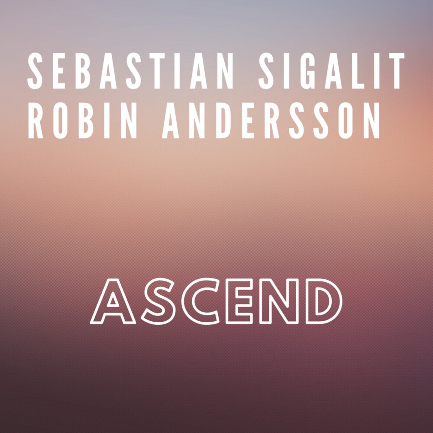 Robin Andersson - Songs, Events and Music Stats | Viberate.com