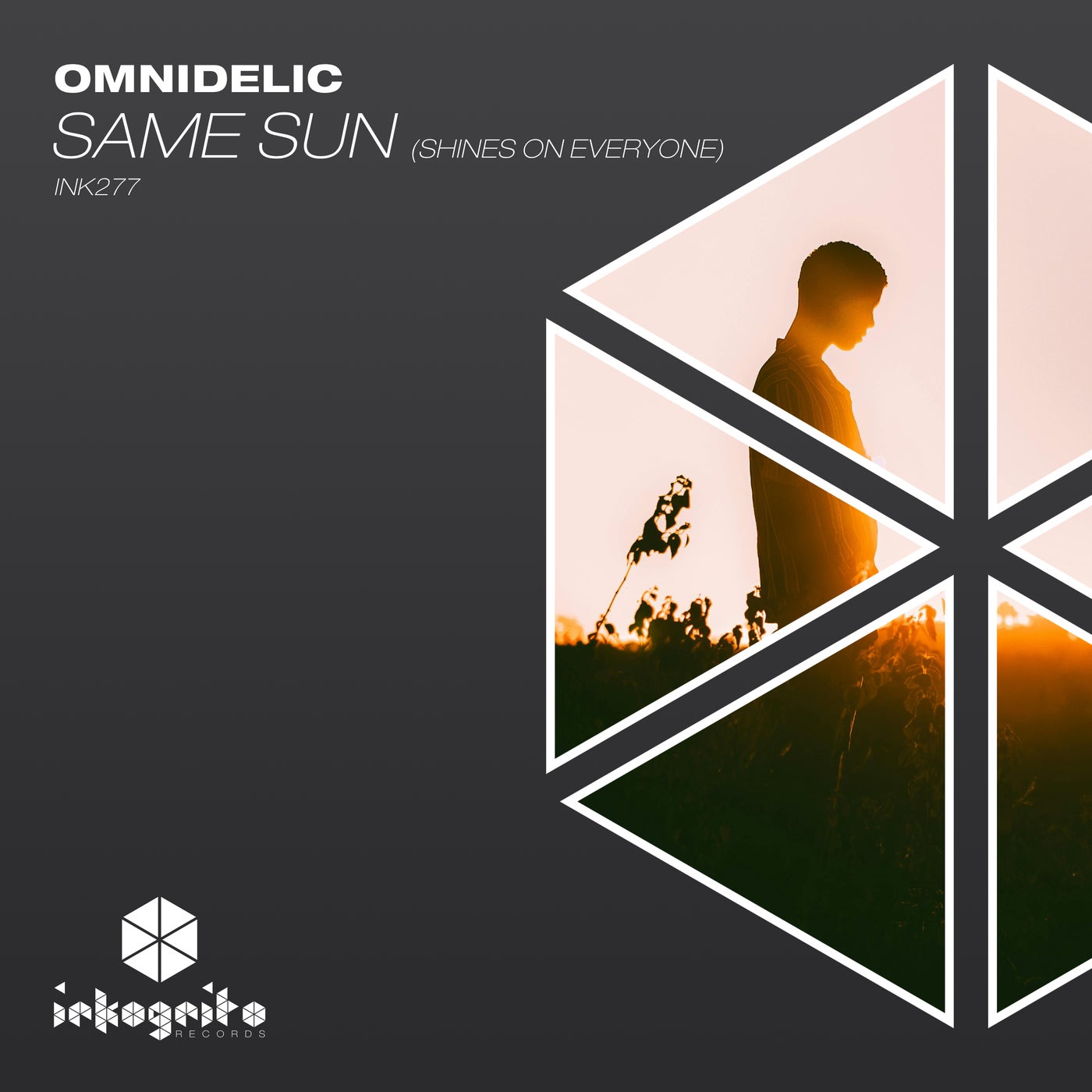 Omnidelic, Inkognito Records - Same Sun (Shines On Everyone) [Inkognito ...