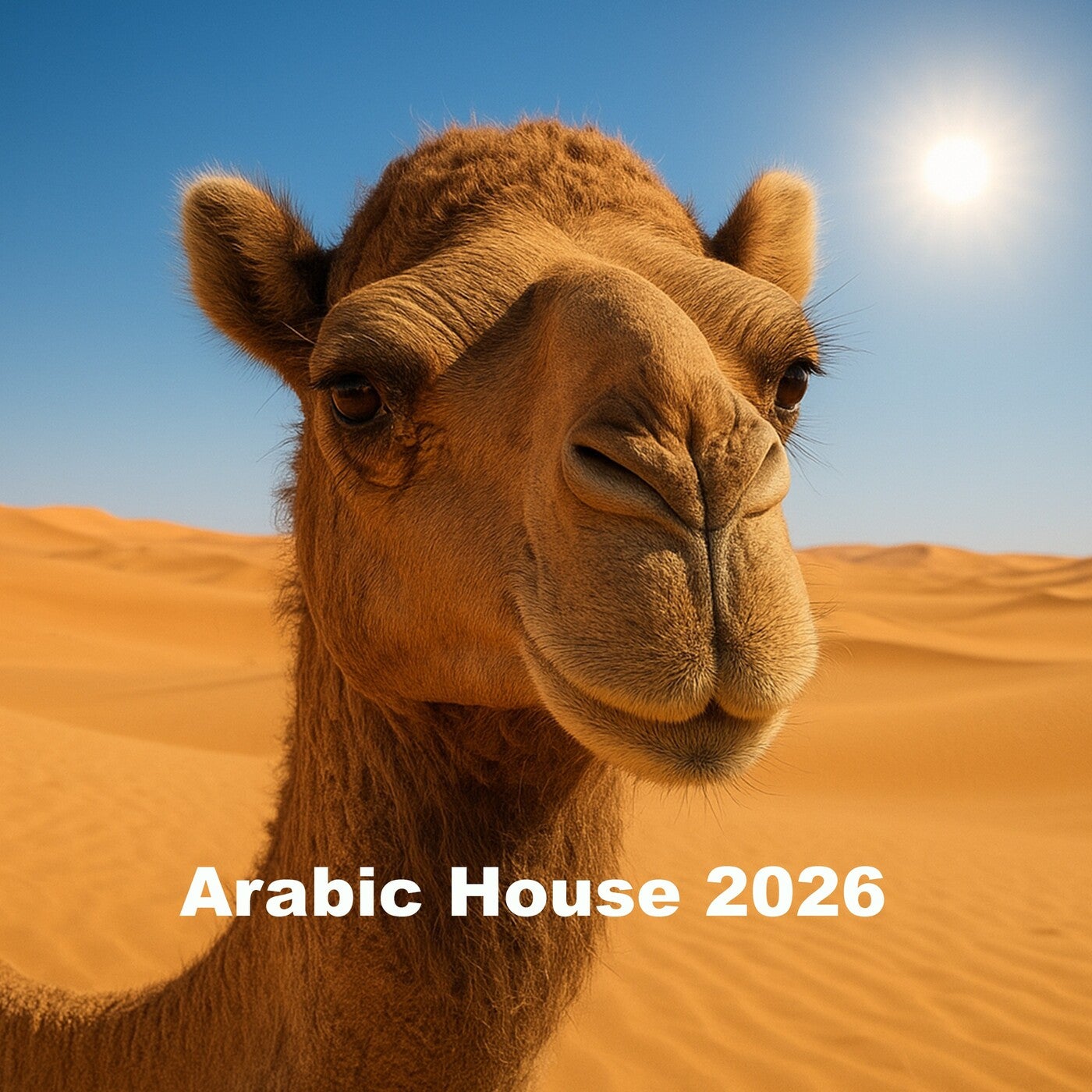 Nassar Ayed - Arab Sunset (Oriental Mix) [Dust & Grooves] | Music ...