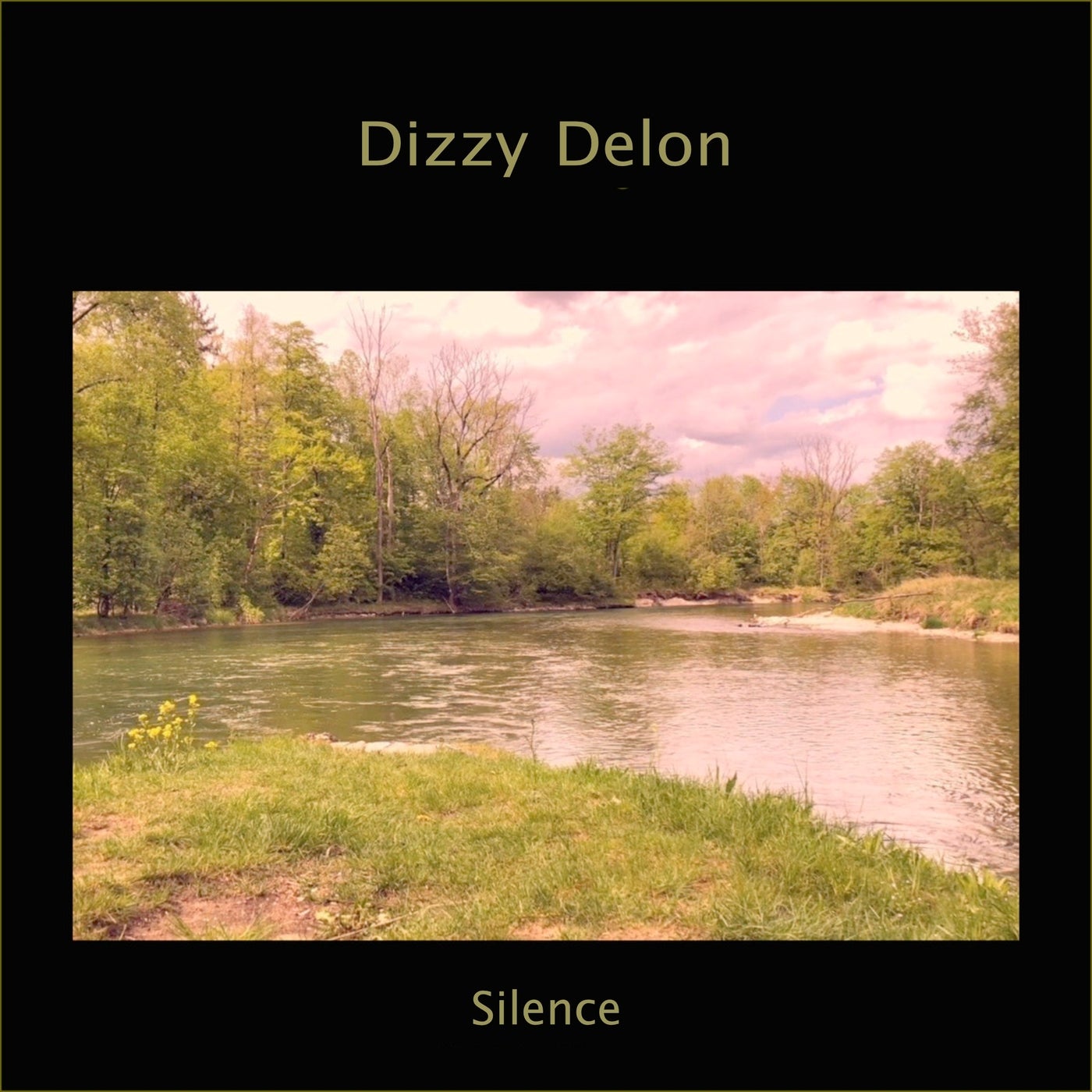 Dizzy Delon - Silence [Roasted Timbre Records] | Music & Downloads on Beatport