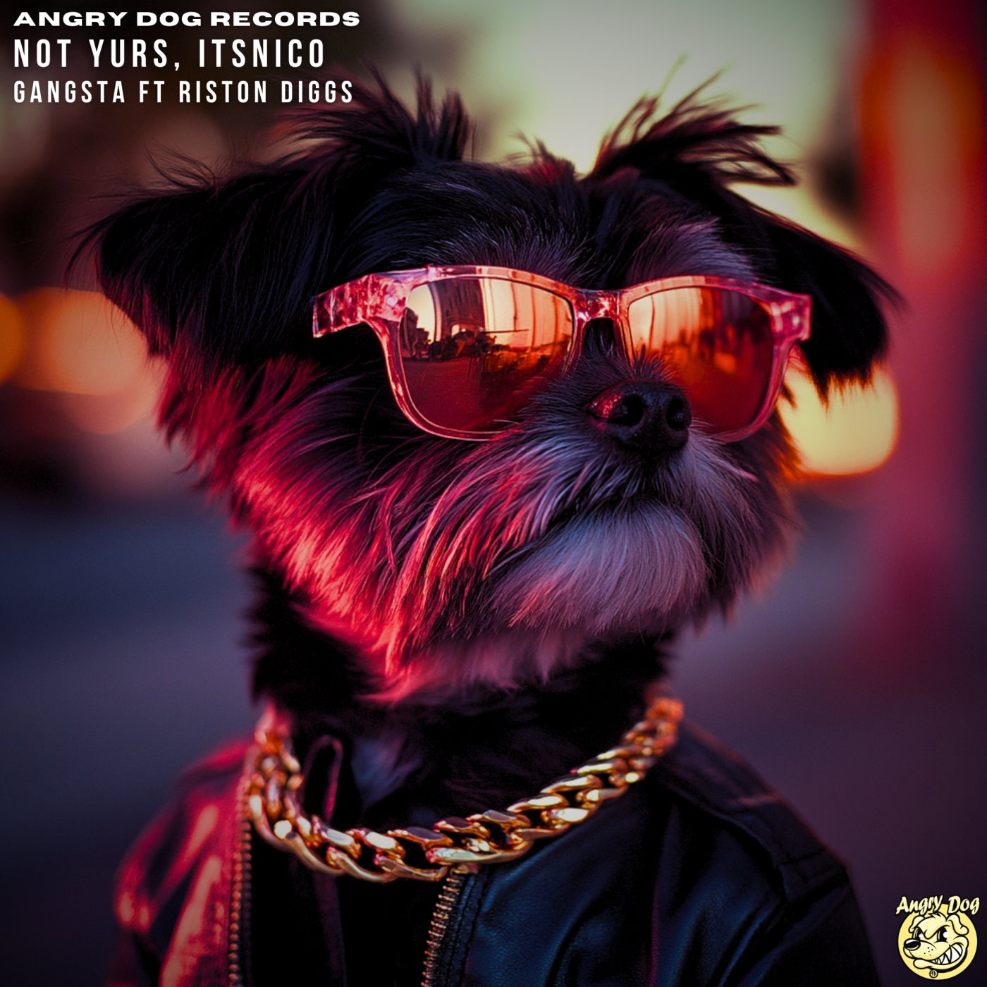 Riston Diggs, Not Yurs, itsnico - Gangsta (Original Mix) [Angry Dog ...