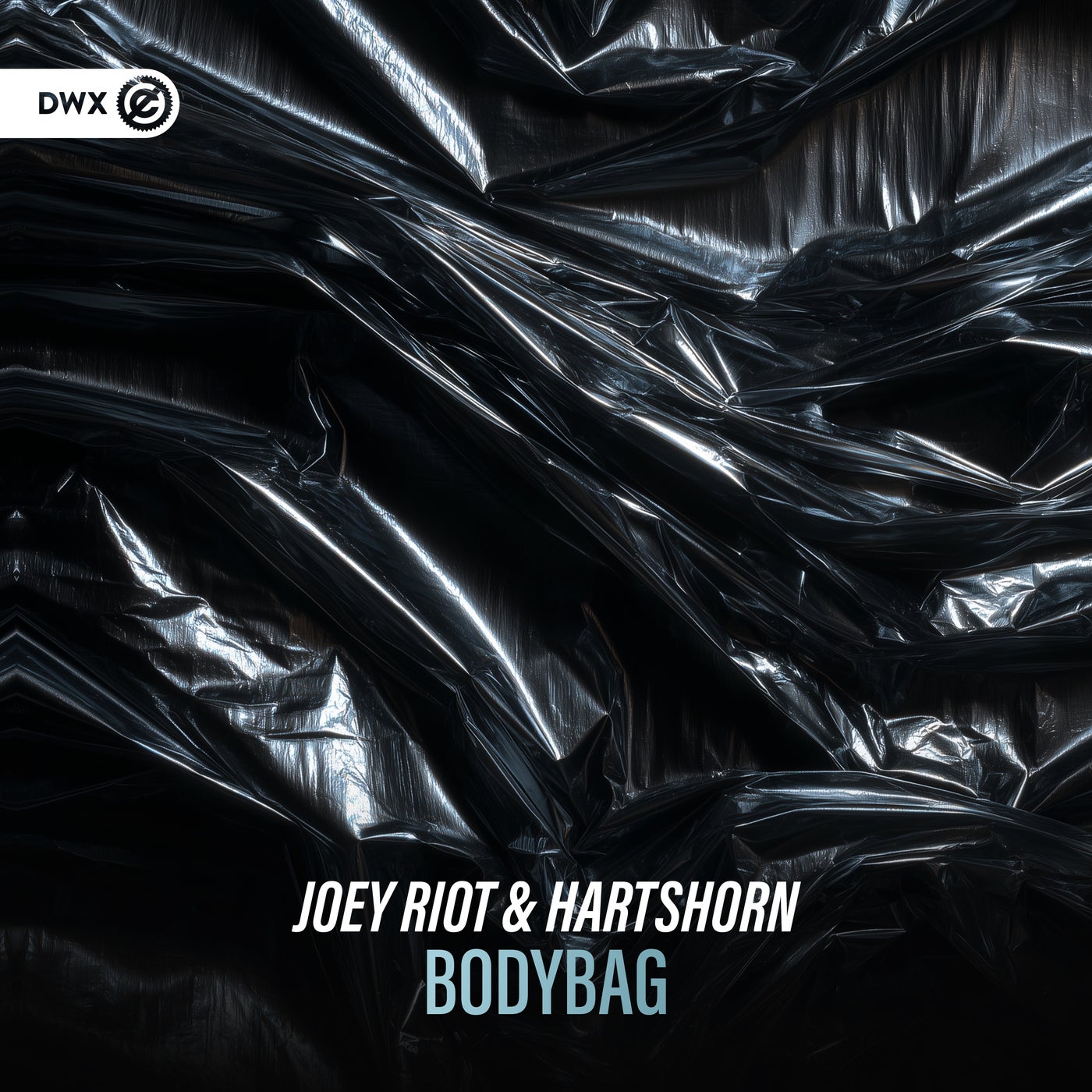 Joey Riot, Hartshorn - Bodybag [DWX Copyright Free] | Music & Downloads ...