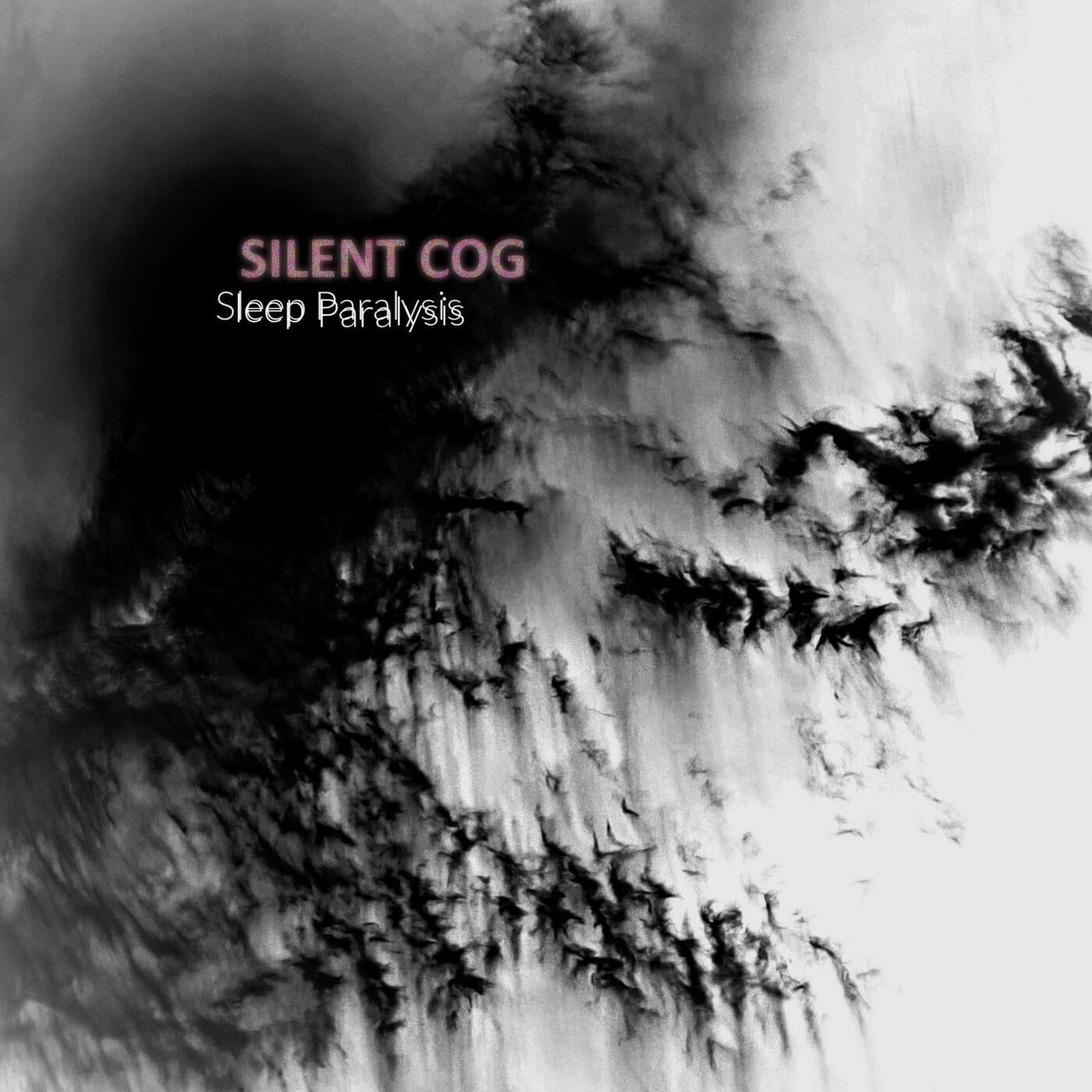 SILENT COG - Sleep Paralysis [DistroKid] | Music & Downloads on Beatport