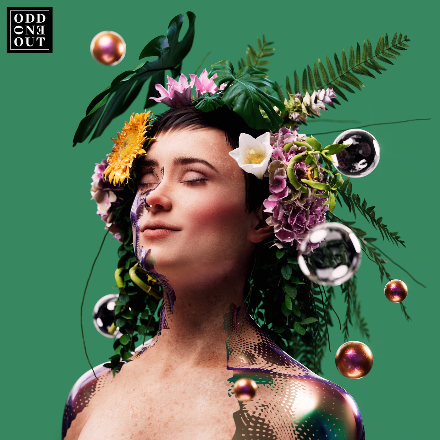 Ross Quinn - Songs, Events and Music Stats | Viberate.com