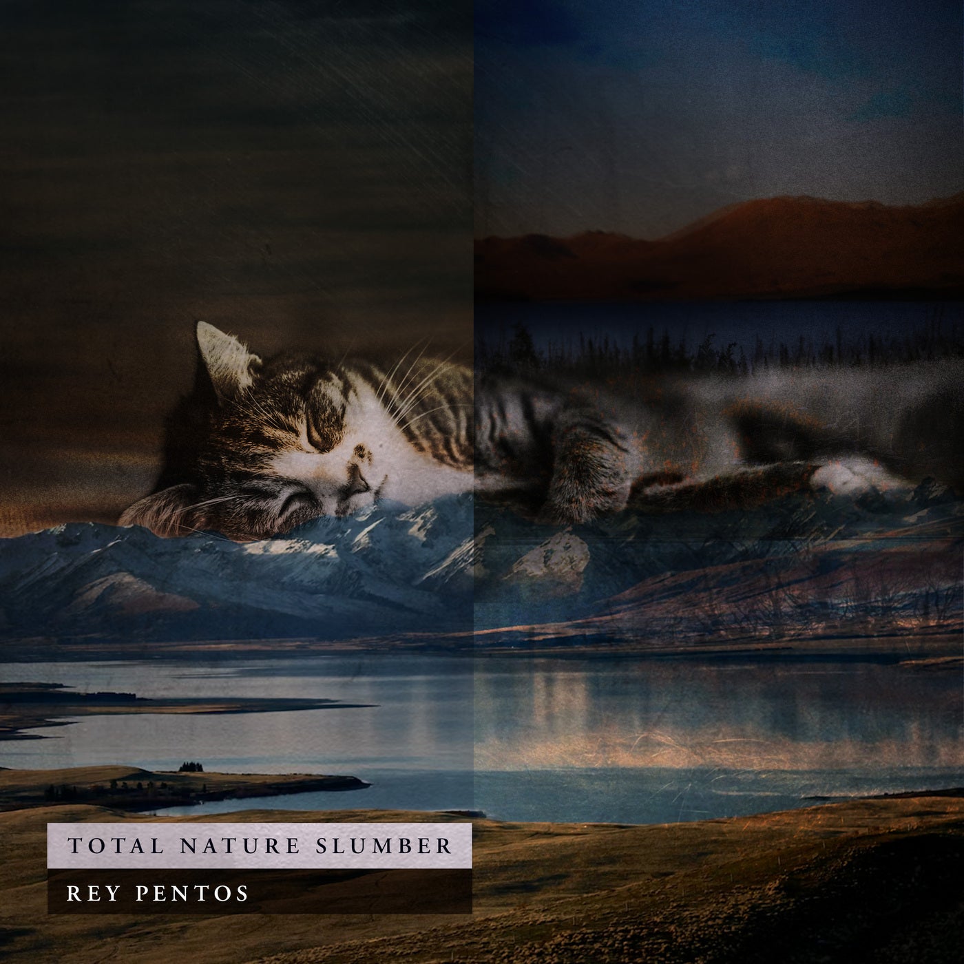 Rey Pentos - Rain Bird Watch (Original Mix) [Rainmaker Studios] | Music ...