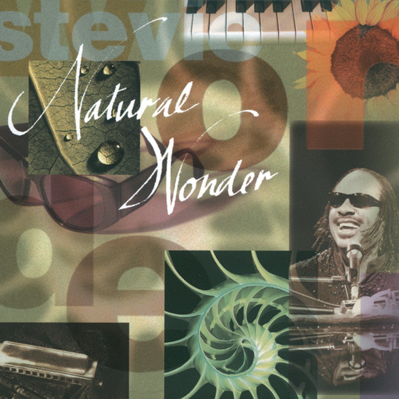 Stevie Wonder - Stevie Ray Blues (Live/1995) [UNI/MOTOWN] | Music ...