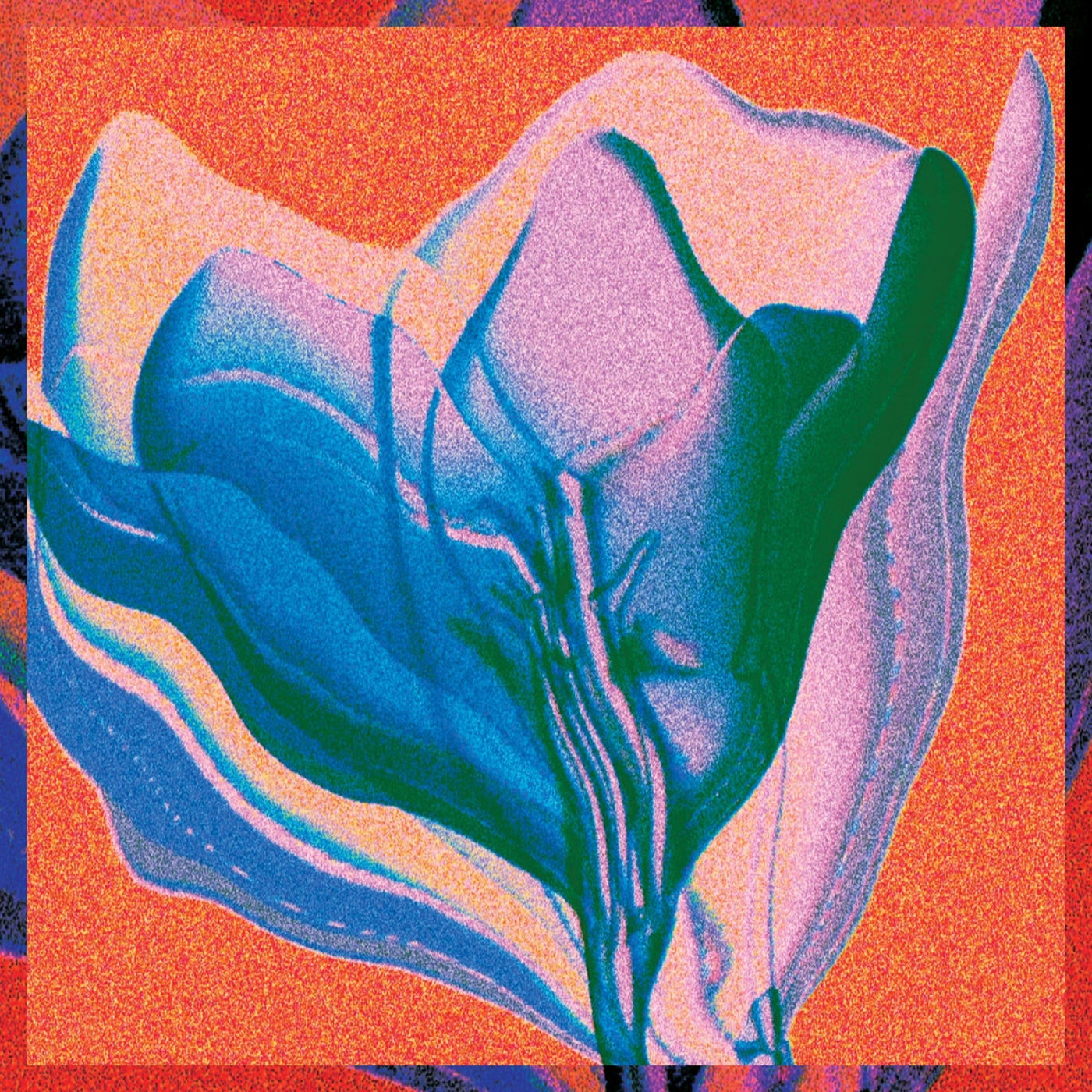 William Florelle, Shama Joseph - Vessel [Groovence] | Music & Downloads ...