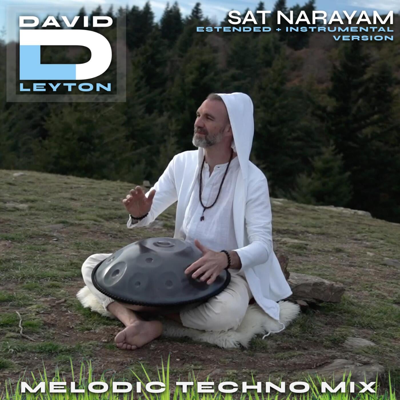 David Leyton - Sat Narayam [DistroKid] | Music & Downloads on Beatport