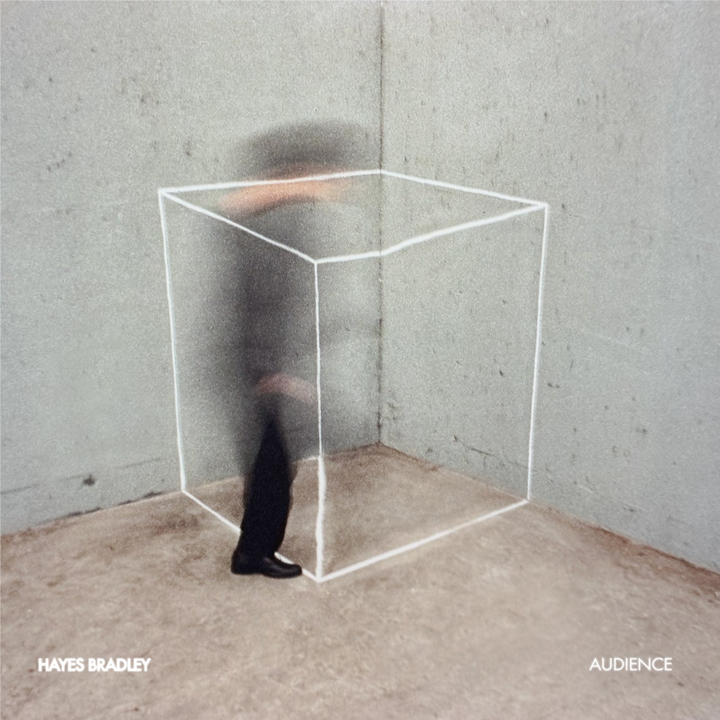 Hayes Bradley, Luna, SEES00000, Bennett Coast, OXIS, Amtrac - Audience ...