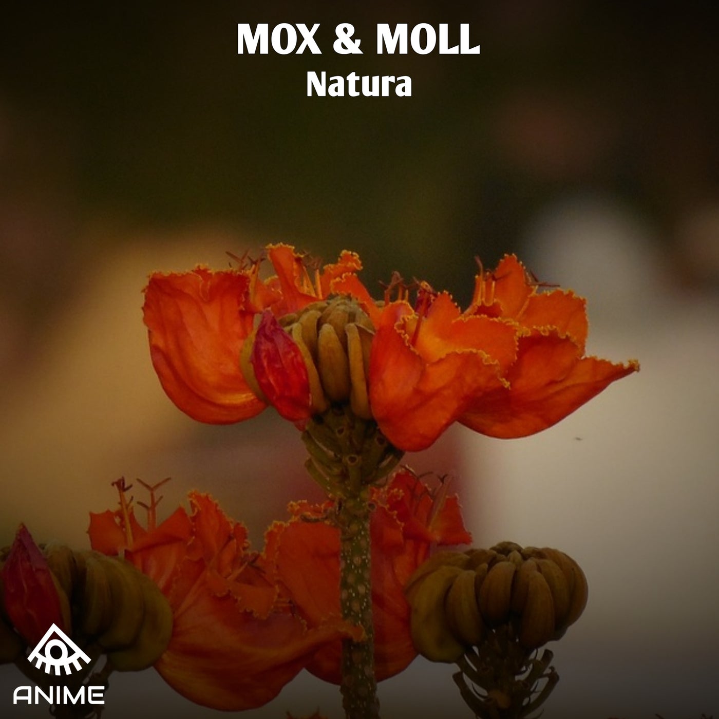 Mox, Moll - Natura [Anime Rec] | Music & Downloads on Beatport