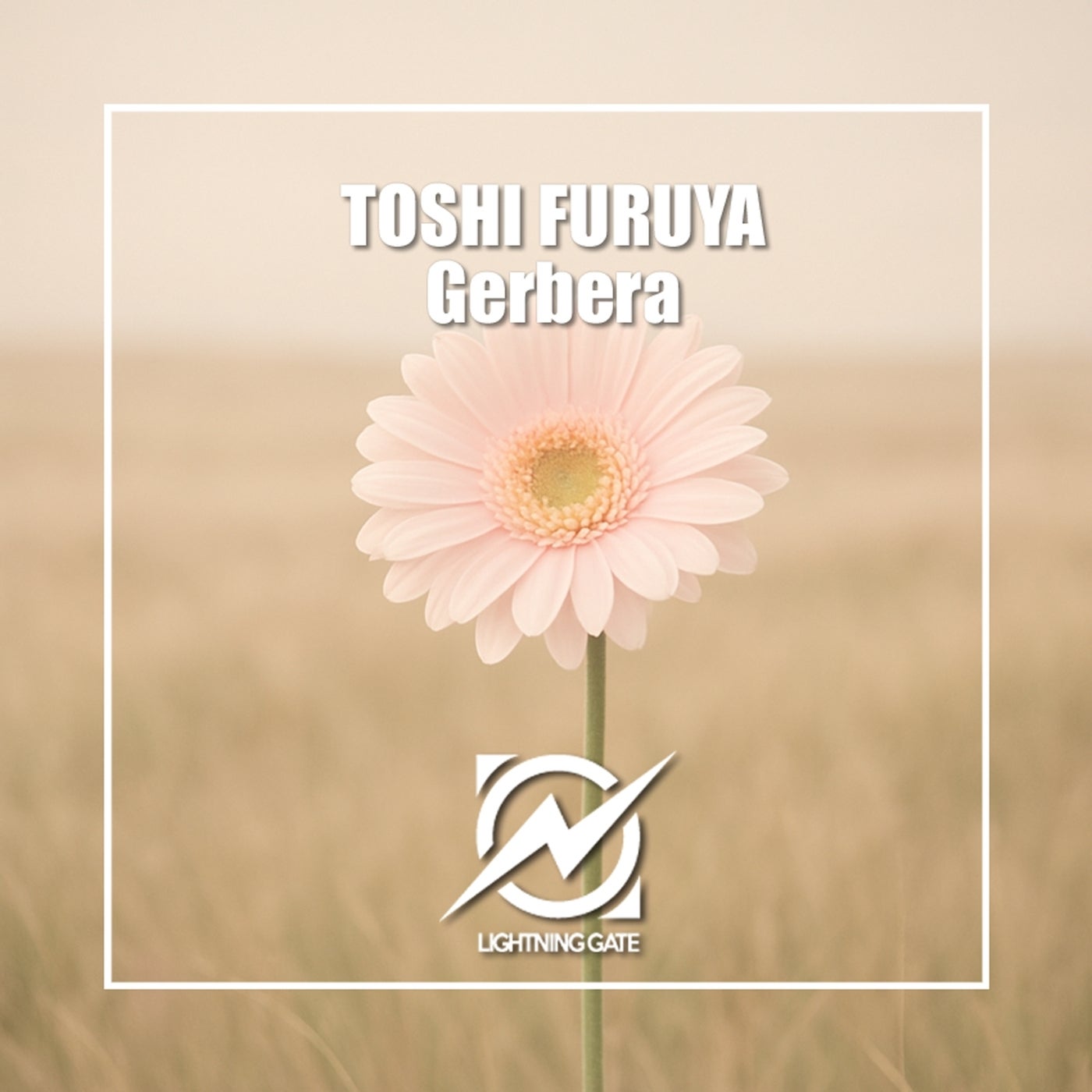 Toshi Furuya - Gerbera [Lightning Gate (R135)] | Music & Downloads on ...