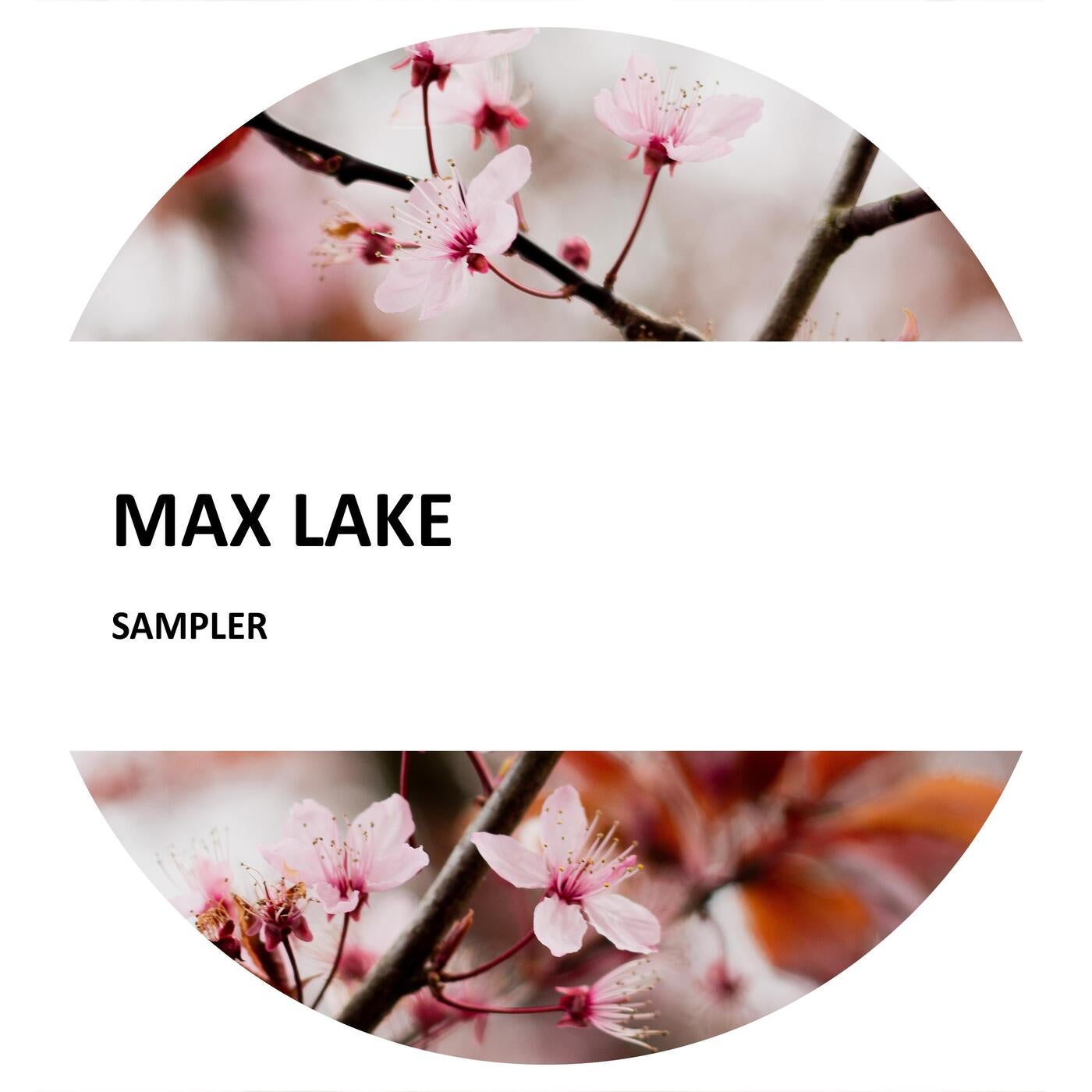 Max Lake - Songs, Events and Music Stats | Viberate.com