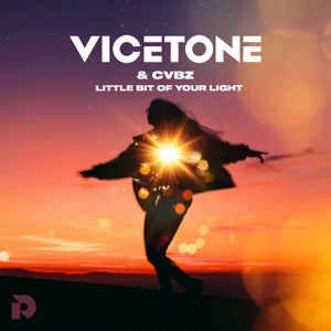 Vicetone - 2024 End Of The Year Mix 2024-12-18