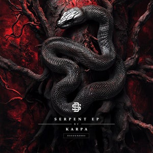 Karpa & RAIDO Tracks / Remixes Overview