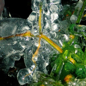 Chloé Caillet - BBC 6 Music New Music Fix 2024-10-10