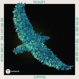 Velocity - Sunny Side Up [FLIGHT PATTERN]