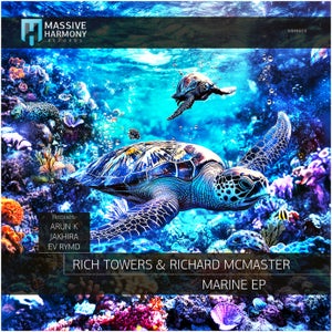 Richard McMaster & Rich Towers Tracks / Remixes Overview