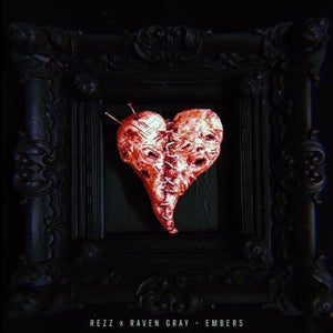 REZZ & Raven Gray - Embers [HYPNOVIZION]